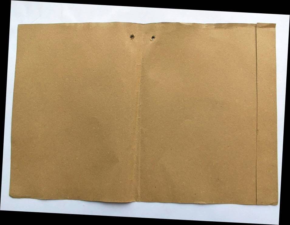 Lucky Fly Leaf - Record File - Monaf Stores